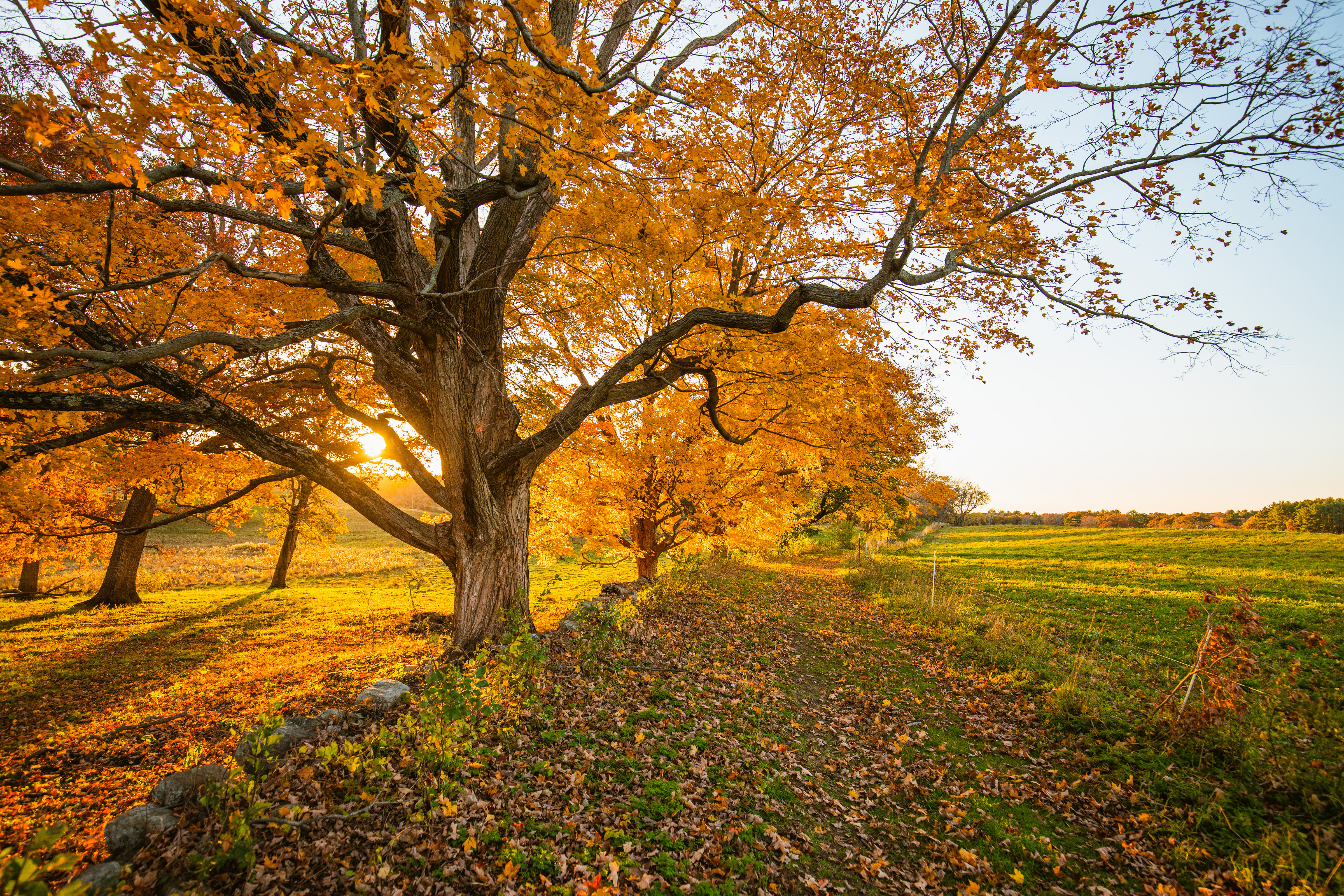 Location | Gordon College | Top College near Boston, MA