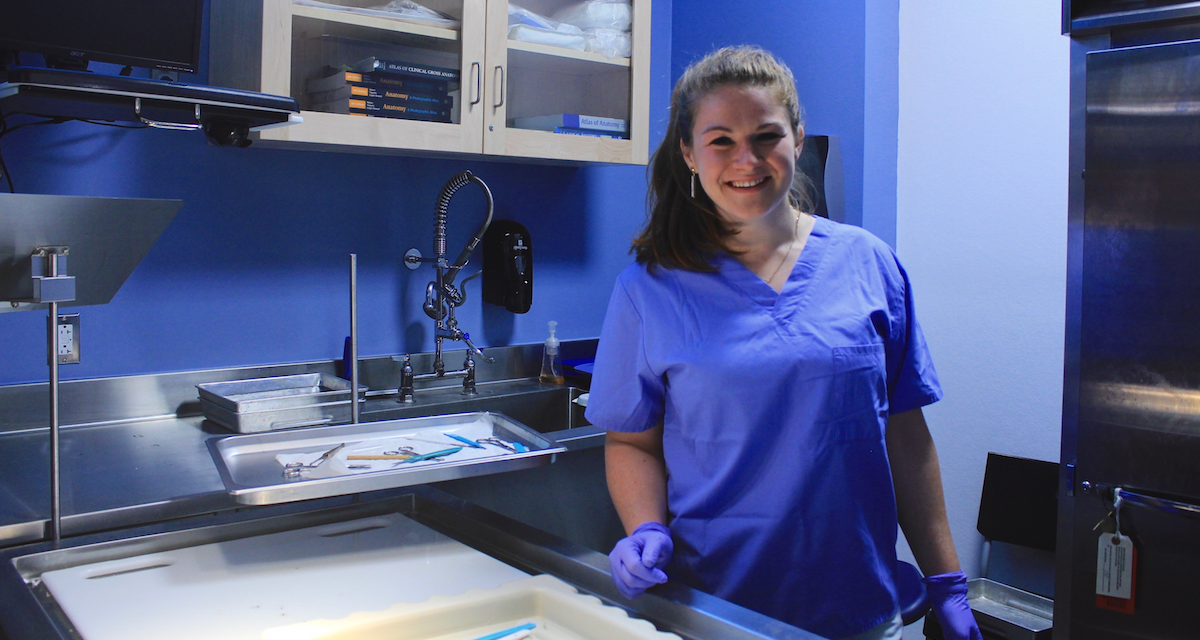 From Textbooks to Reality: Reflections from Gordon’s… | Gordon College